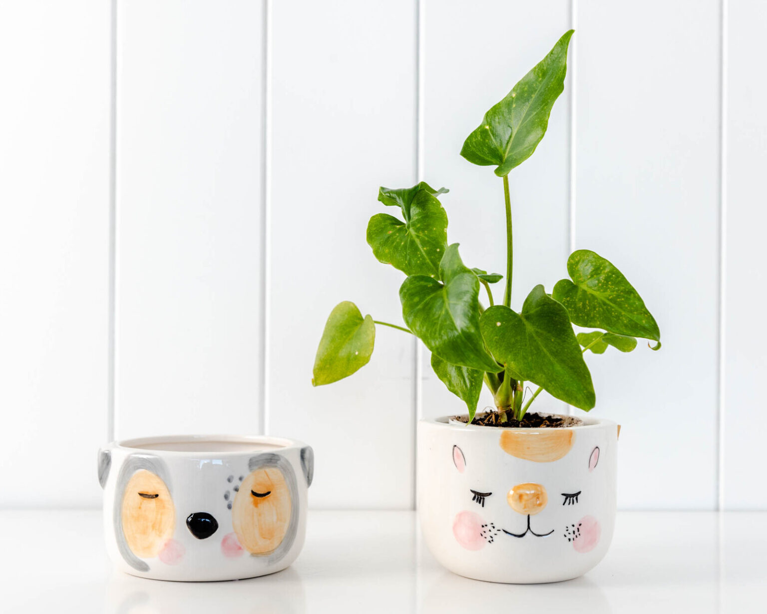 Cheeky Cat Ceramic Pot Planter - White, 10x7cm | Dalisay