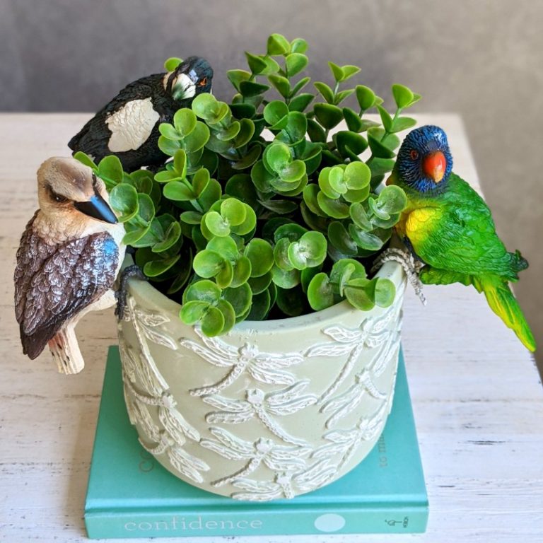 Magpie Kookaburra Lorikeet Bird Pot Sitter - Set Of 3 | Dalisay