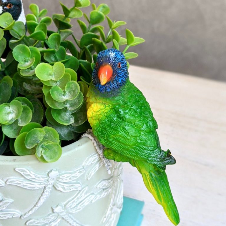 Magpie Kookaburra Lorikeet Bird Pot Sitter - Set Of 3 | Dalisay