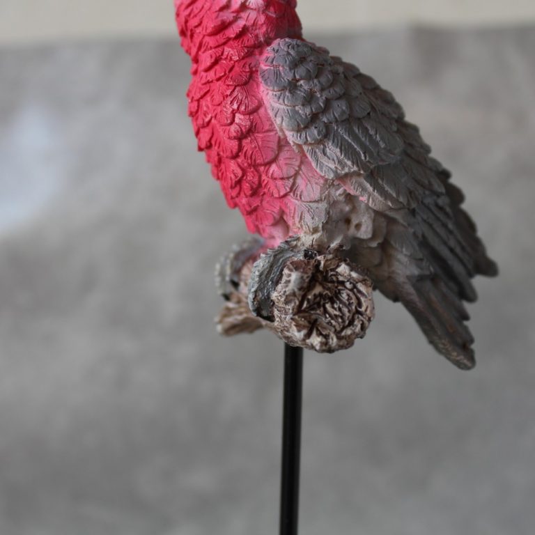 Australian Pink Galah Bird Pot Planter Sitter | Dalisay
