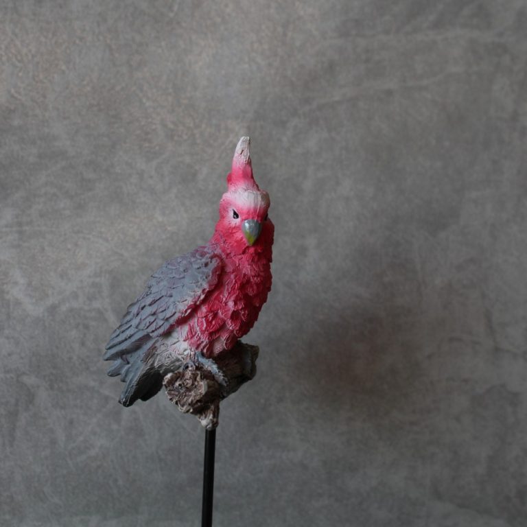 Australian Pink Galah Bird Pot Planter Sitter | Dalisay