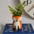 White Orange Ceramic Fox Pot Planter, 10cm | Dalisay