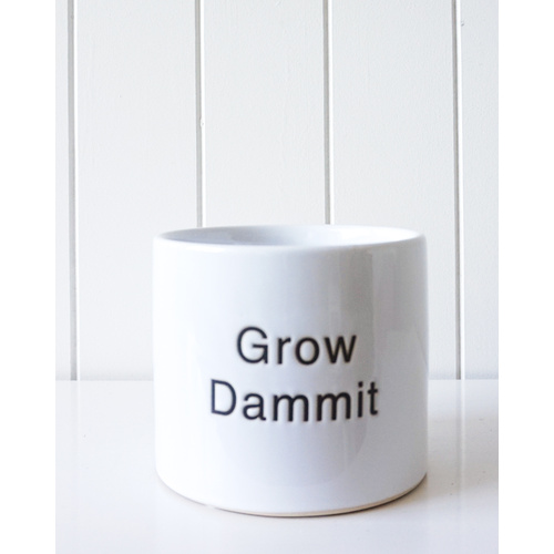 Planters – Page 9 – Dalisay