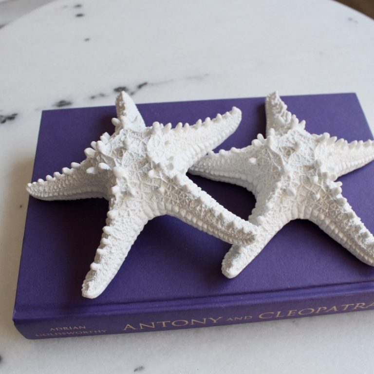 Coastal White Starfish Decor Ornament - Set Of 2 | Dalisay