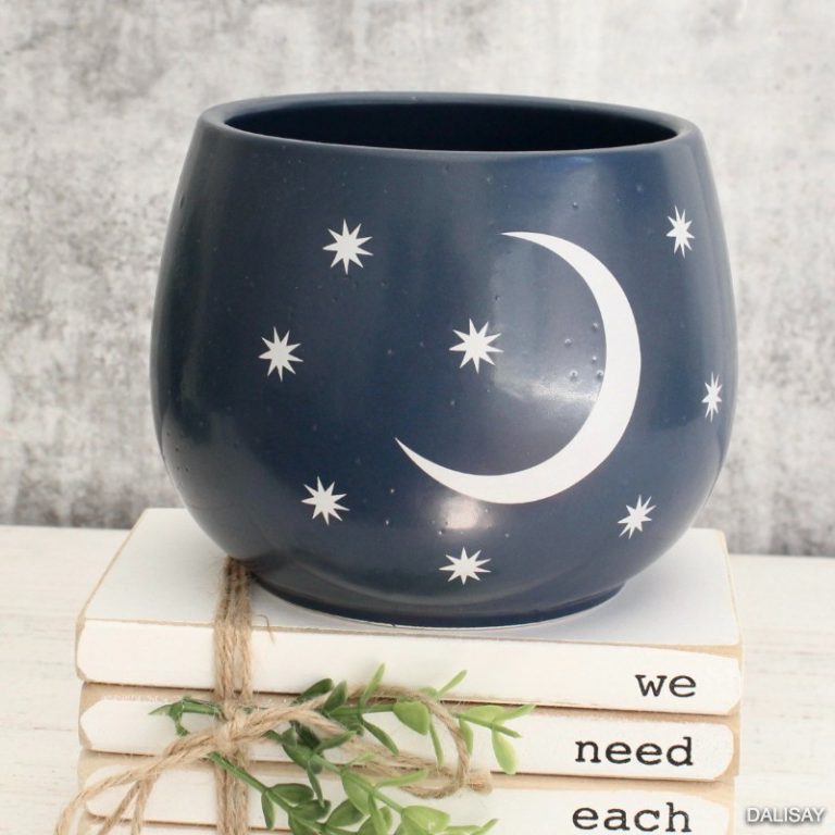 Night Sky Moon Planter Pot | Dalisay