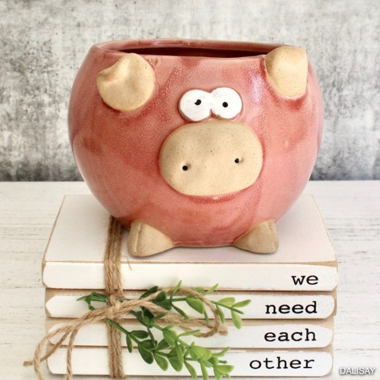 Pink Cheeky Pig Planter Pot | Dalisay