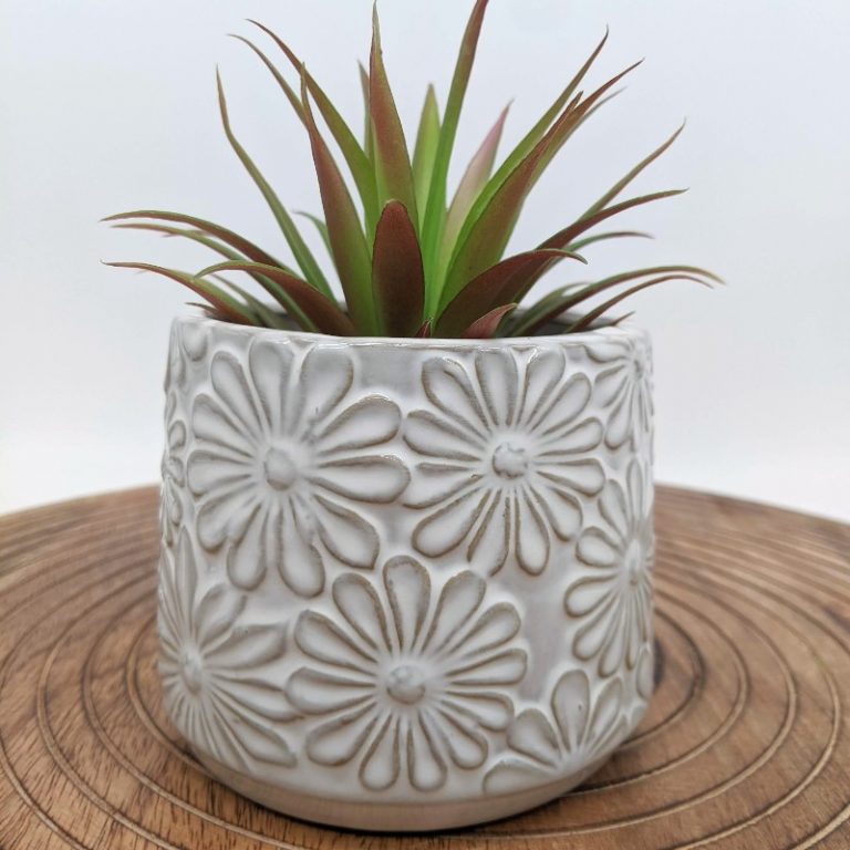 White Daisy Flowers Planter Pot, 11cm | Dalisay