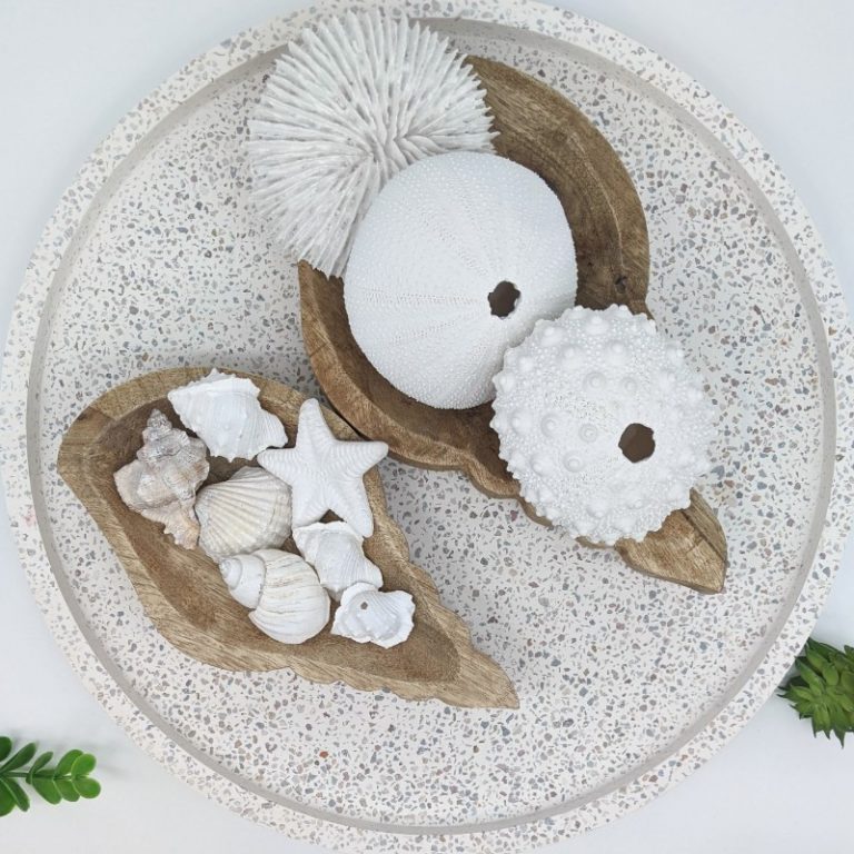 Wooden Sea Shell Tray - Set Of 2 | Dalisay