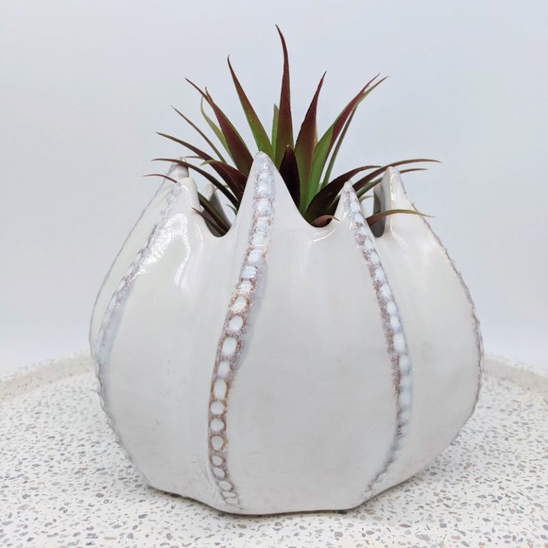 Coastal Ivory Flower Vase, 15cm | Dalisay