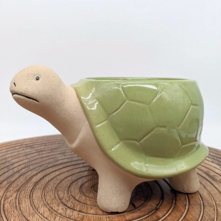 Green Turtle Planter Pot, 18cm | Dalisay