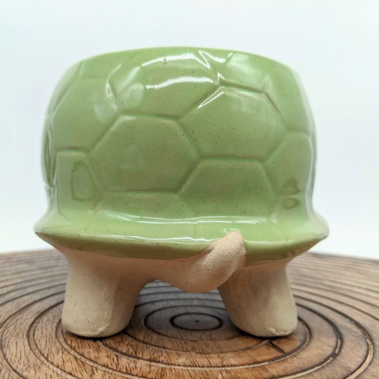 Green Turtle Planter Pot, 18cm | Dalisay