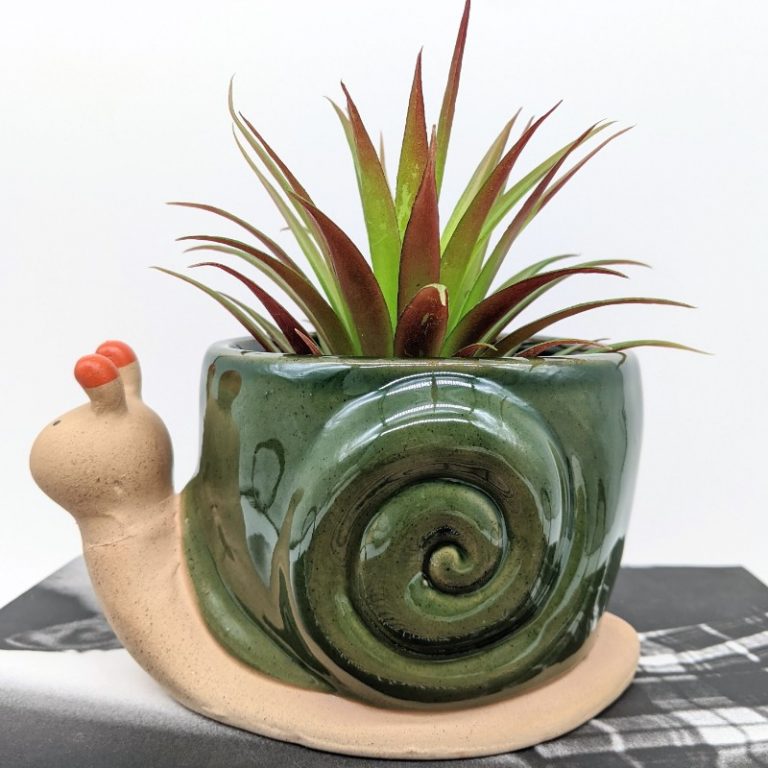 Sea Green Snail Planter Pot | Dalisay