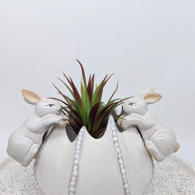 Home Accents | Vases, Pots, Planters, Photo Frames And More | Dalisay