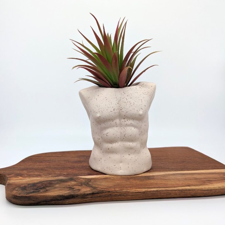 Male Body Abs Planter Pot, 12cm | Dalisay