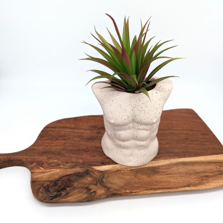 Male Body Abs Planter Pot, 12cm | Dalisay