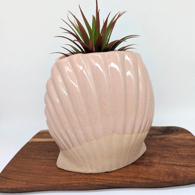 Pink Clam Shell Planter Pot, 17cm | Dalisay