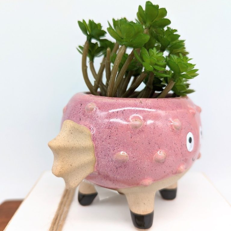 Pink Puffer Fish Planter Pot | Dalisay