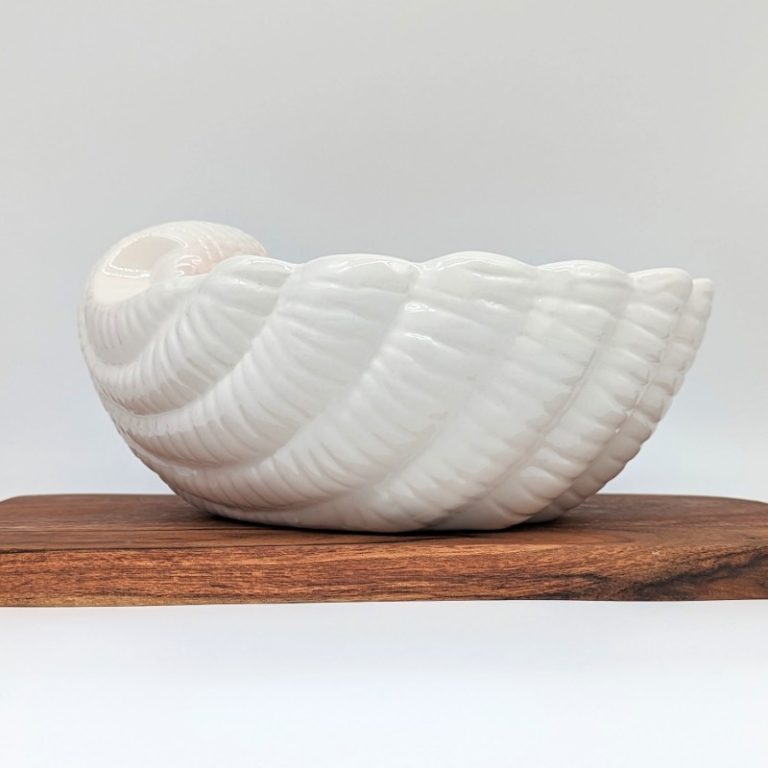 White Clam Shell Ceramic Planter Pot, 22cm | Dalisay