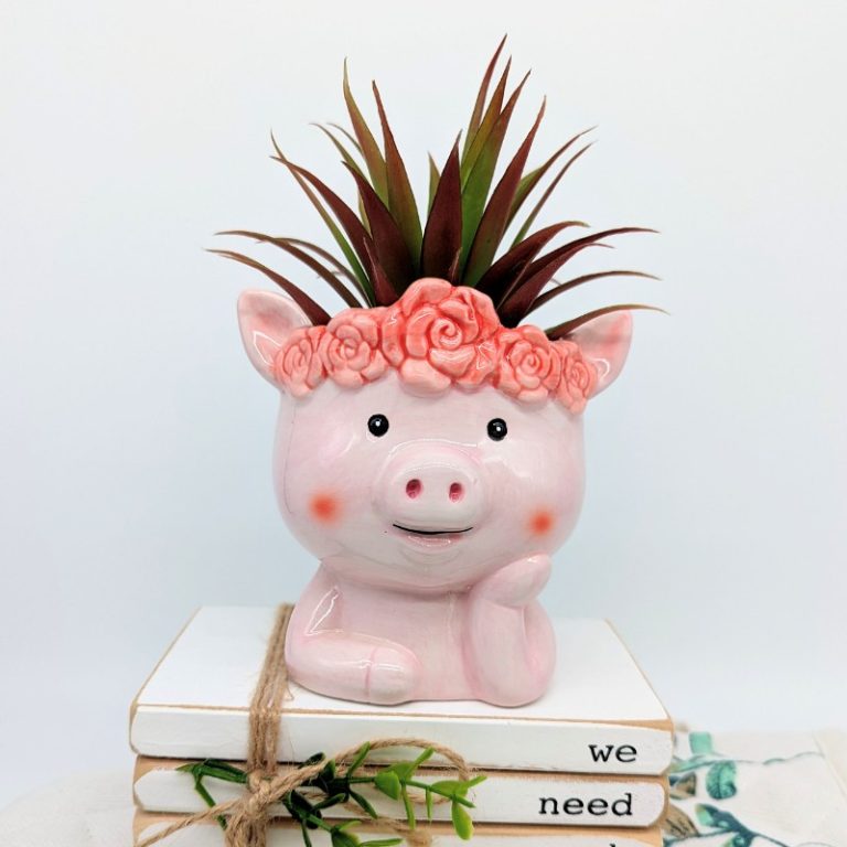 Flower Head Animal Planter Pot - Pig, Sheep | Dalisay