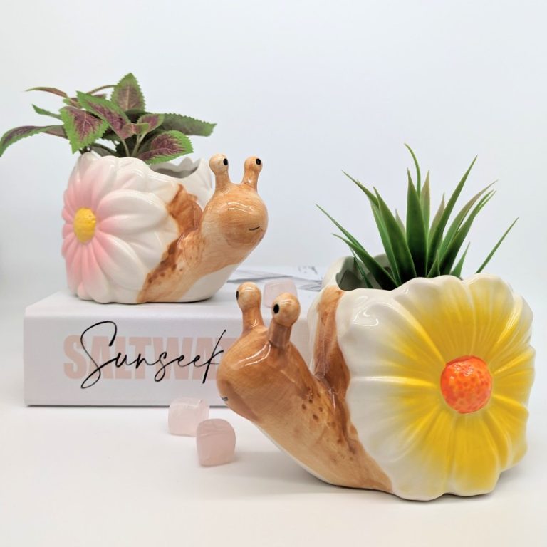 Pink Yellow Flower Snail Planter Pot, 12cm | Dalisay