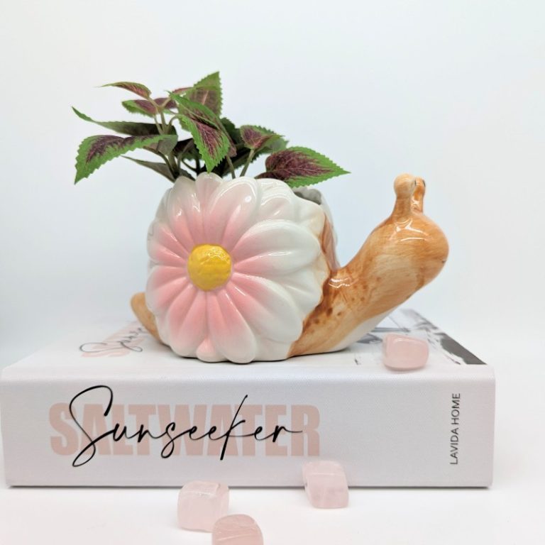 Pink Yellow Flower Snail Planter Pot, 12cm | Dalisay
